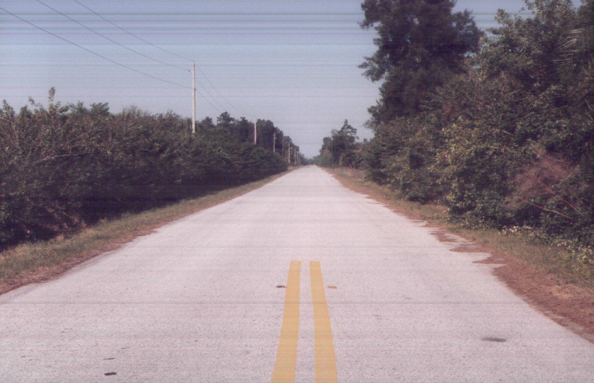 Photo Interpretation Key